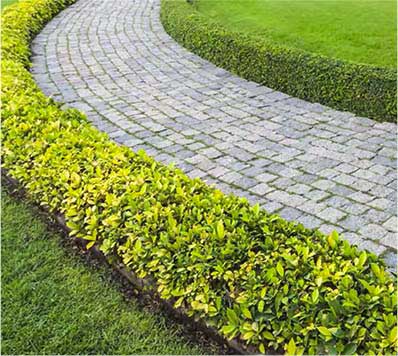 MSI Cobbles | Landscaping Stones